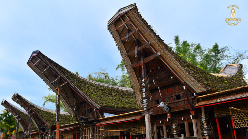 Rumah adat khas dari toraja
