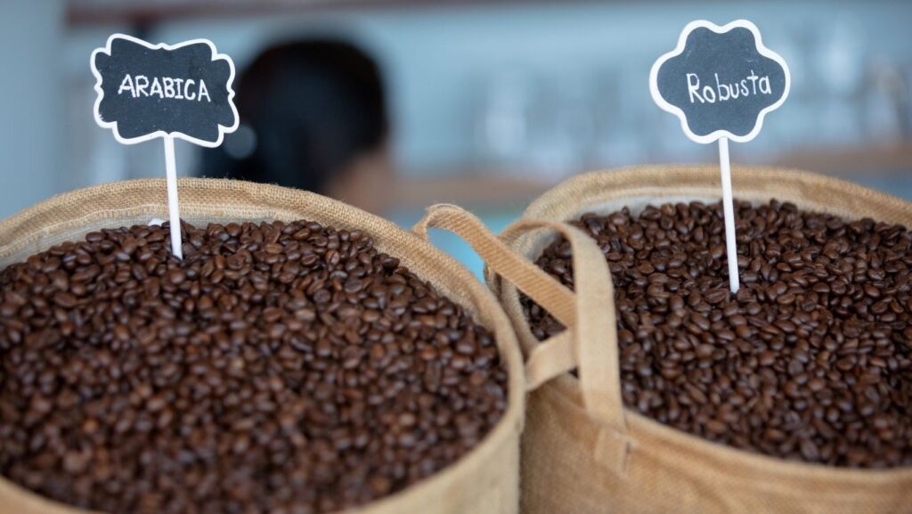 Perbedaan Kopi Robusta dan Arabika, Kamu Suka yang Mana? - Unakaffe System